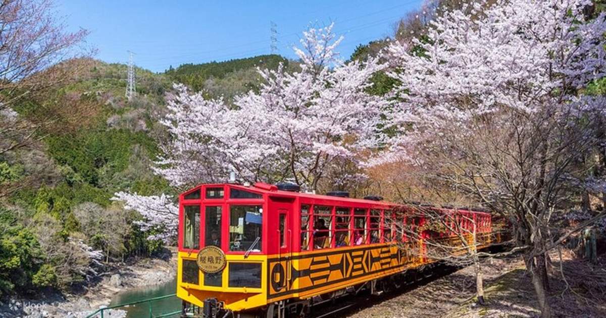 아라시야마 호즈쿄 협곡 반나절 투어 사가노 로맨틱 열차 And 호즈가와쿠다리 보트 탑승 포함 클룩 Klook 한국